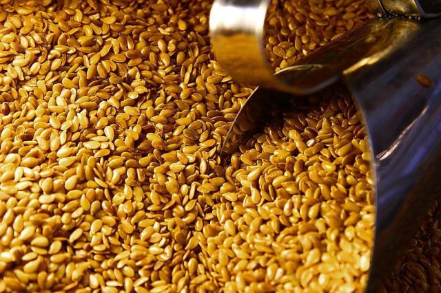 PRODUTIVIDADE DE GRÃOS | AgroNovas