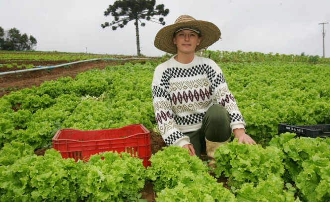 AGRICULTURA FAMILIAR | AgroNovas