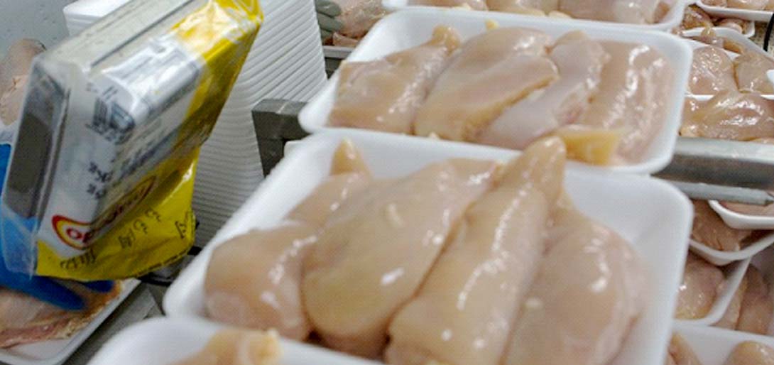 MERCADO DE FRANGO | AgroNovas