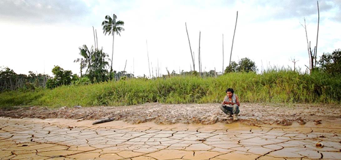 SECA NO NORDESTE | AgroNovas